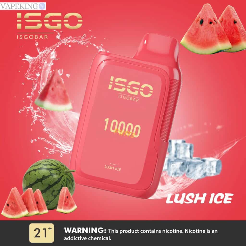 ISGO BAR DISPOSABLE VAPE 10000 Puffs IN UAE - VAPEKING AE