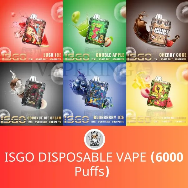 ISGO DISPOSABLE VAPE 6000 Puffs DUBAI - UAE IN DUBAI, U.A.E - VAPEKING AE