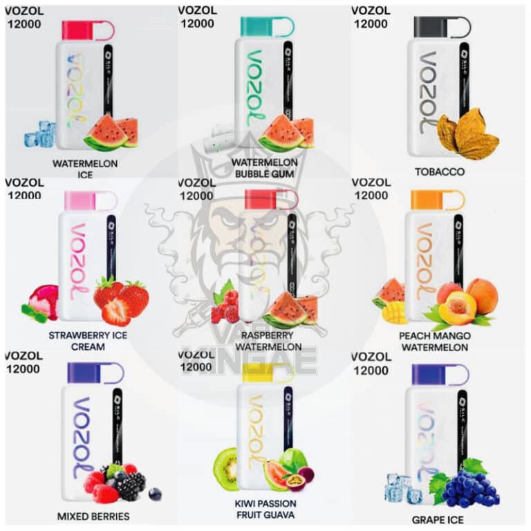 VOZOL STAR 12000 PUFFS BEST DISPOSABLE VAPE In Dubai, U.A.E - VAPEKING AE